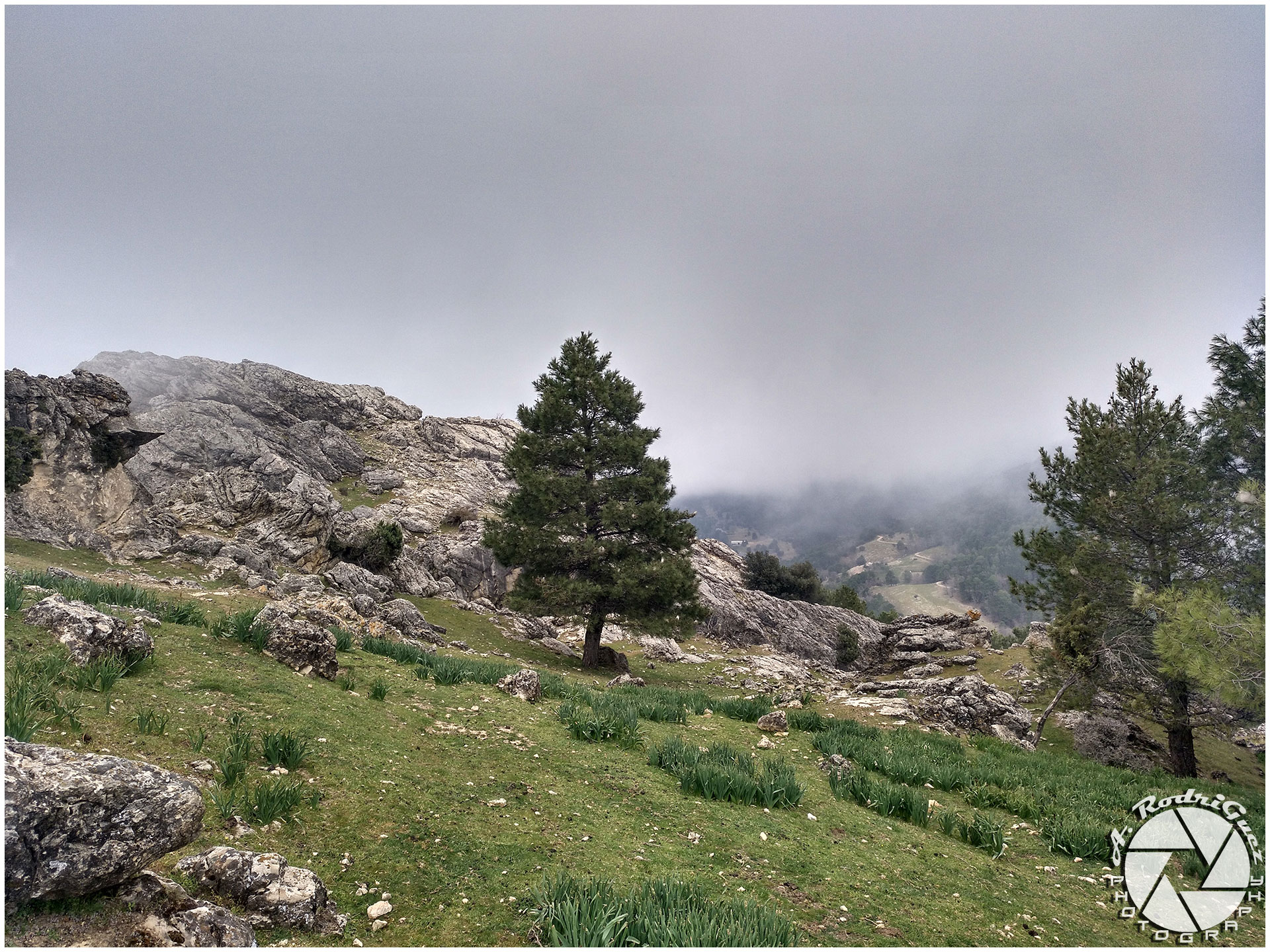 Naturaleza y Paisajes de España: El Mosco, Narigón y El Caballo (Sierra ...