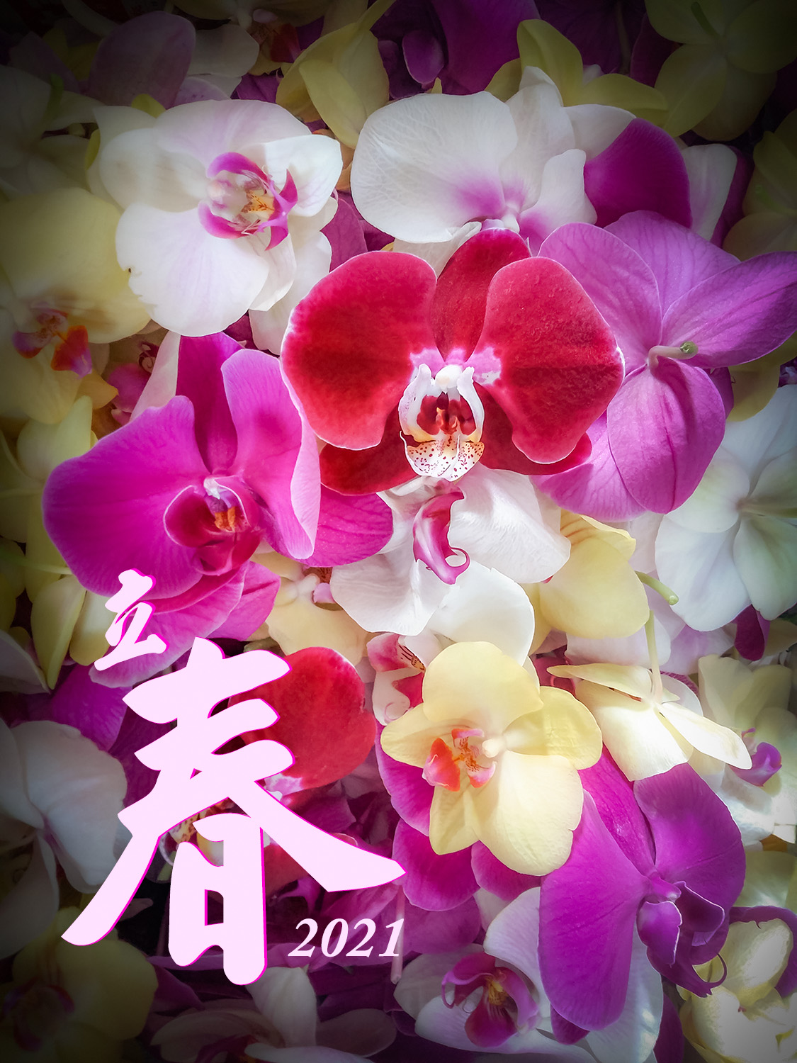 Happy Li Chun (Beginning of Spring) 2021 | Photo.Culture.Travelogue