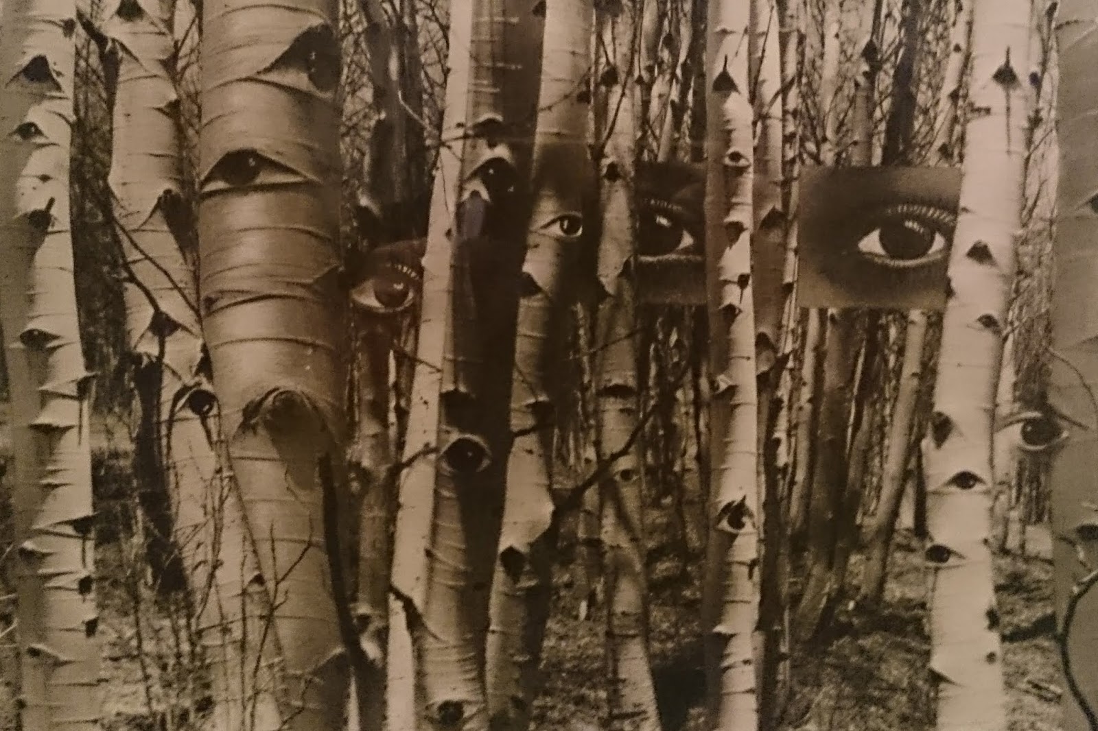 Enciclopedia de Mujeres de Isabel del Río: La bruja Alice Kyteler y el ...