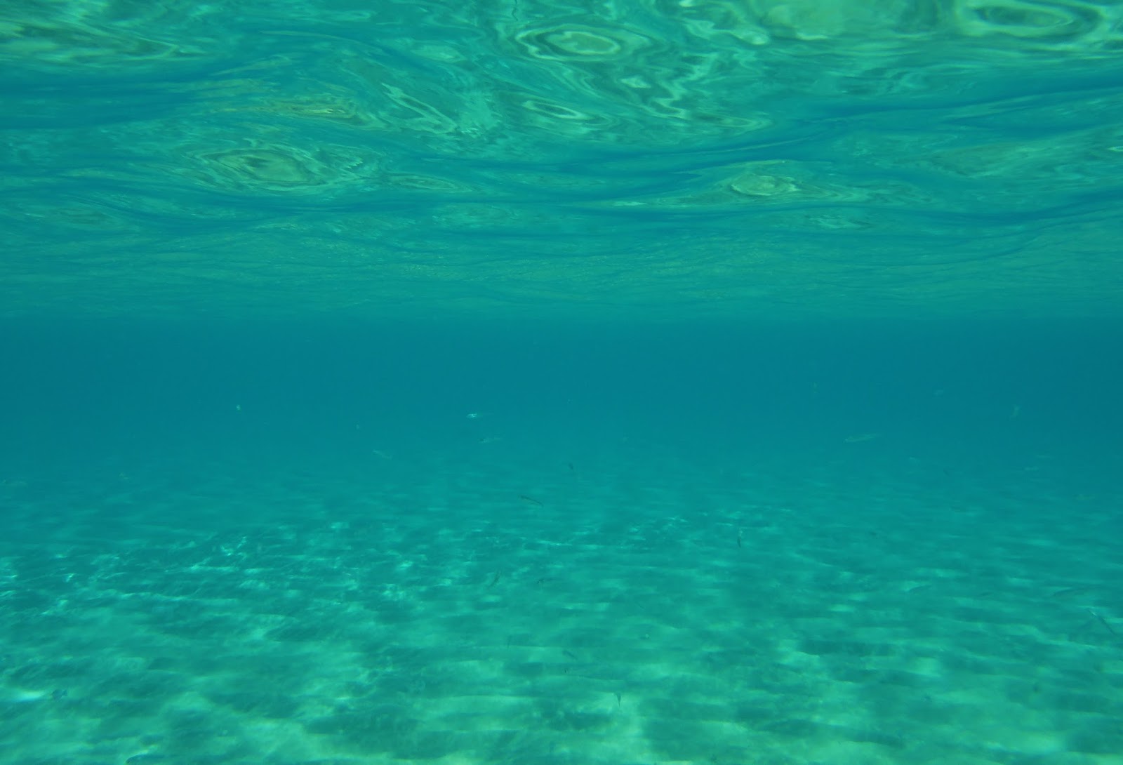 4 THINGS YOU HAVE TO DO IN RHODES | GraceBee