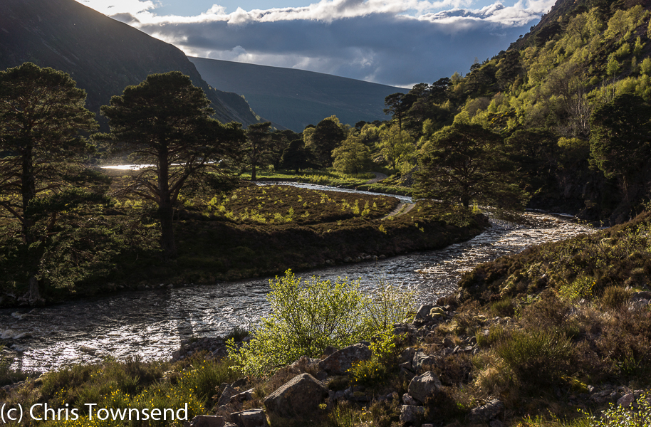 Chris Townsend Outdoors: State of Nature 2019 report - sadly, not a ...