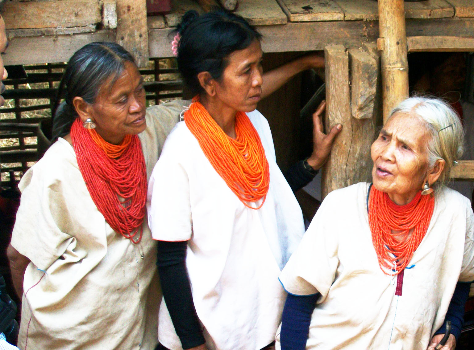 Austro-Asiatic languages