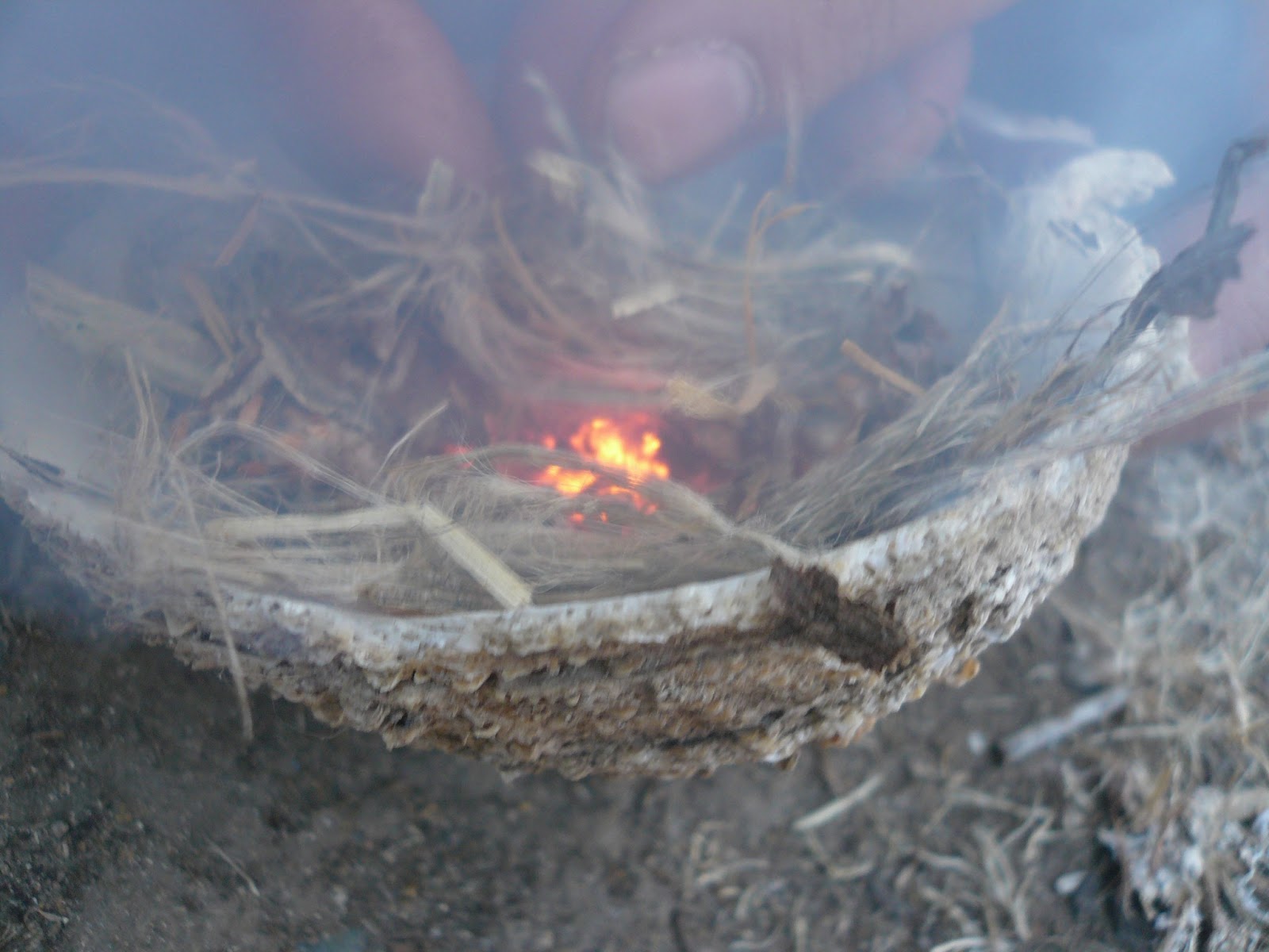 Countryman: Foraging California's Wild Side: Fire by Friction