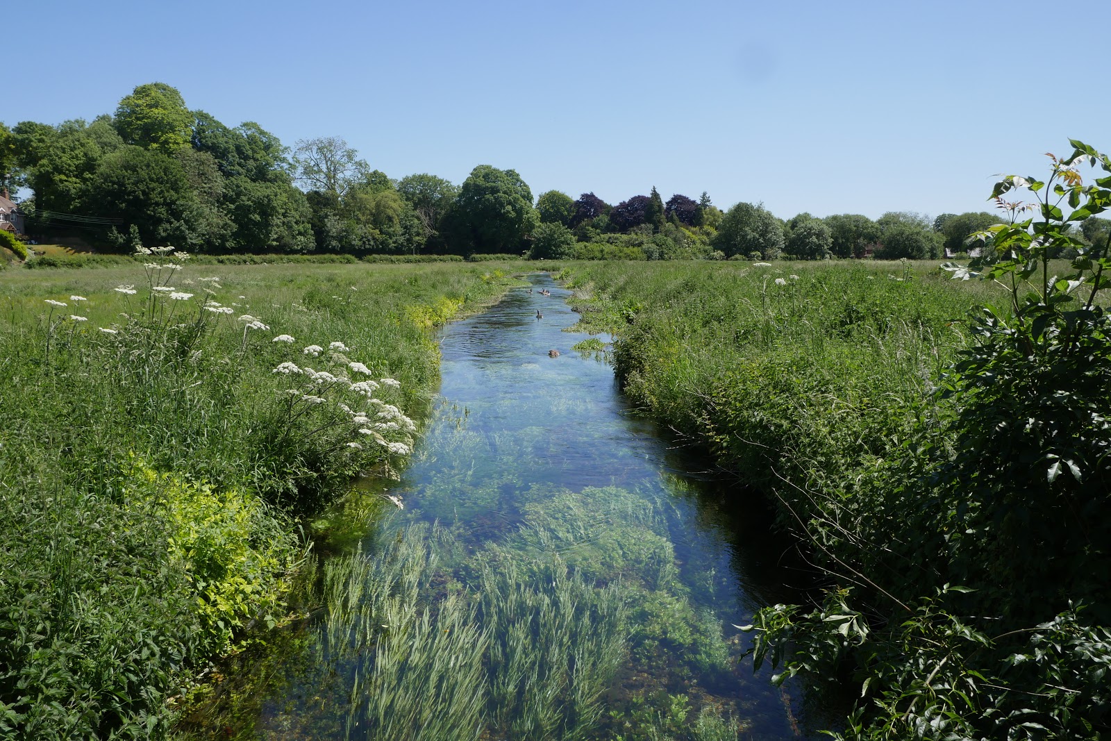 Walking in the country: St Mary Bourne