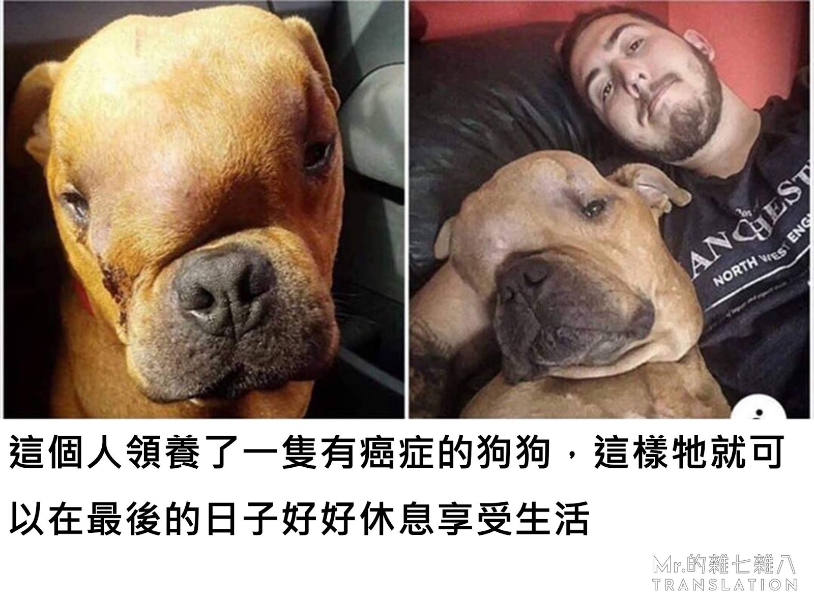 FUMB (53) - 週一正能量 | Mr.的雜七雜八翻譯