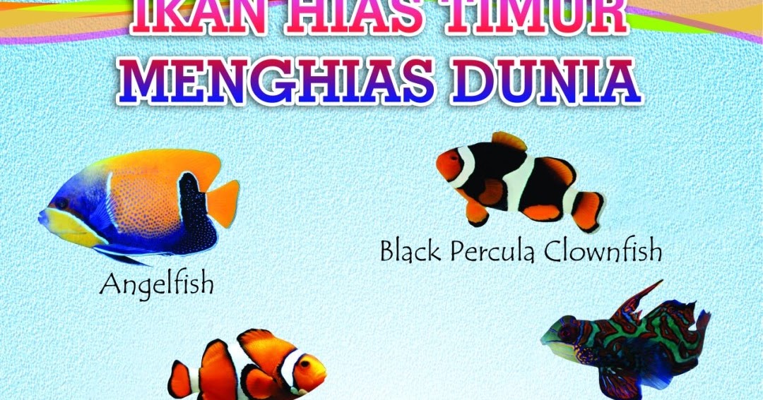 KOMUNITAS PENYULUH PERIKANAN: POSTER PENYULUHAN: IKAN HIS TIMUR ...