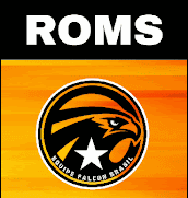 EQUIPE FALCON BRASIL