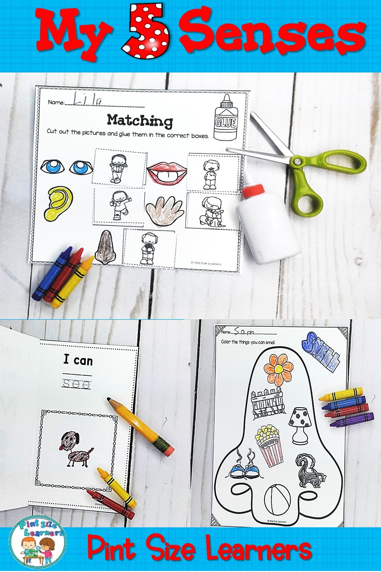 Pk and K Science and Social Studies Resources - Pint Size Learners