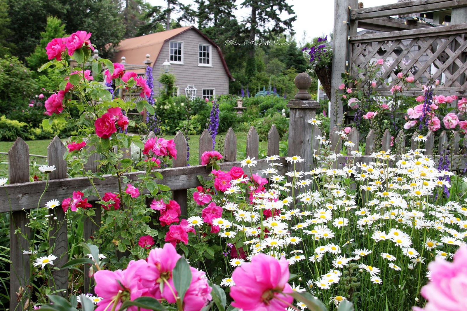 Aiken House & Gardens: A Peaceful Garden Stroll