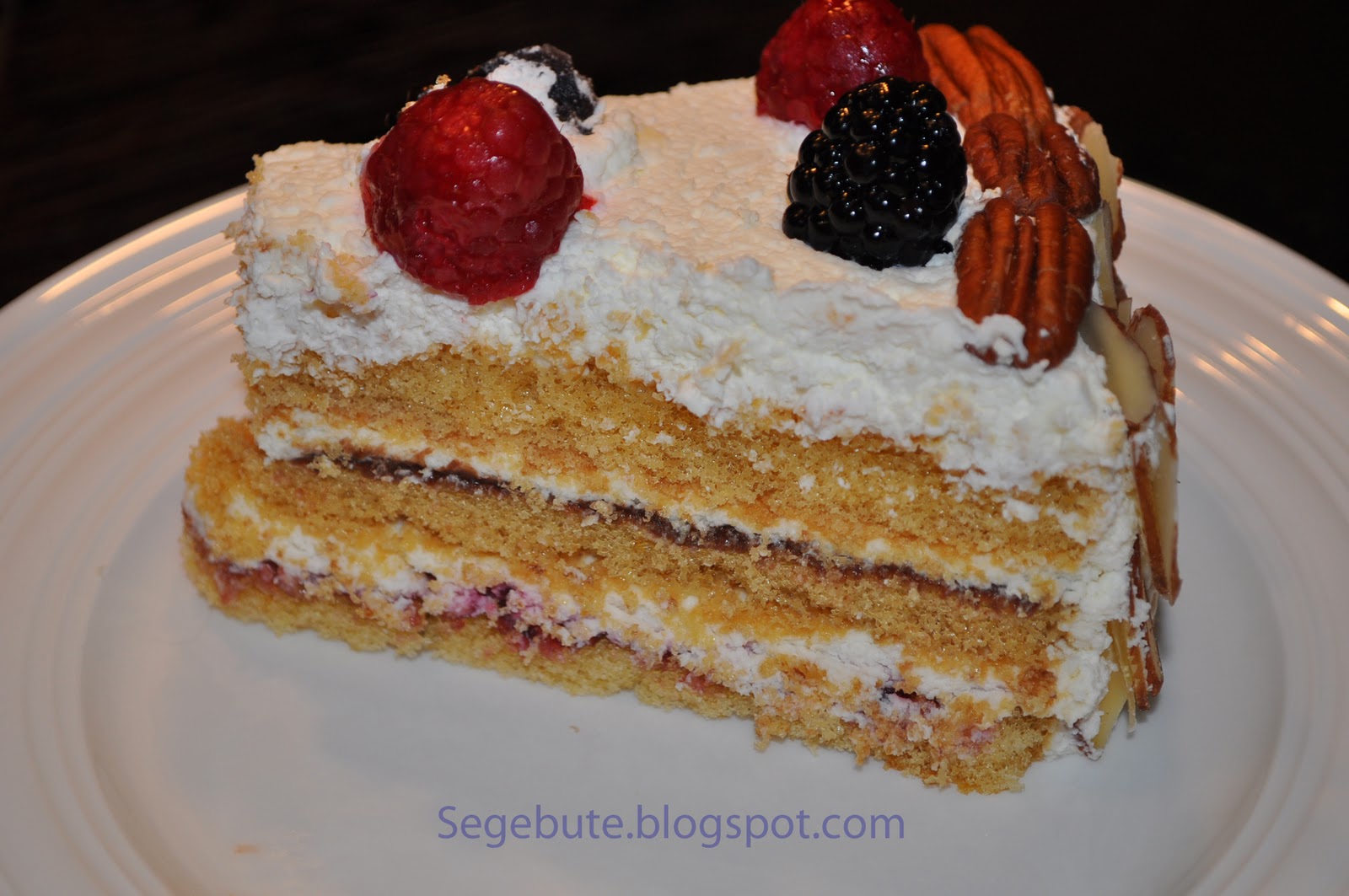 SEGEBUTĖS UŽRAŠAI: 2011