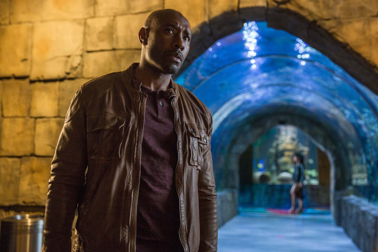 When the Bough Breaks