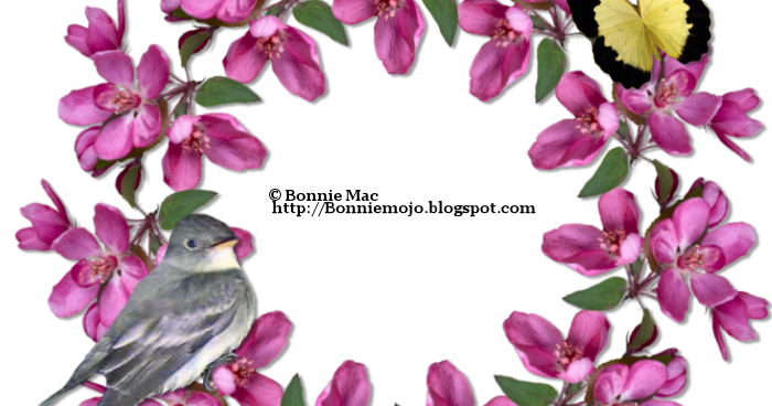 BonnieMac's PSP Tubes and Scrapkits: Spring Frames