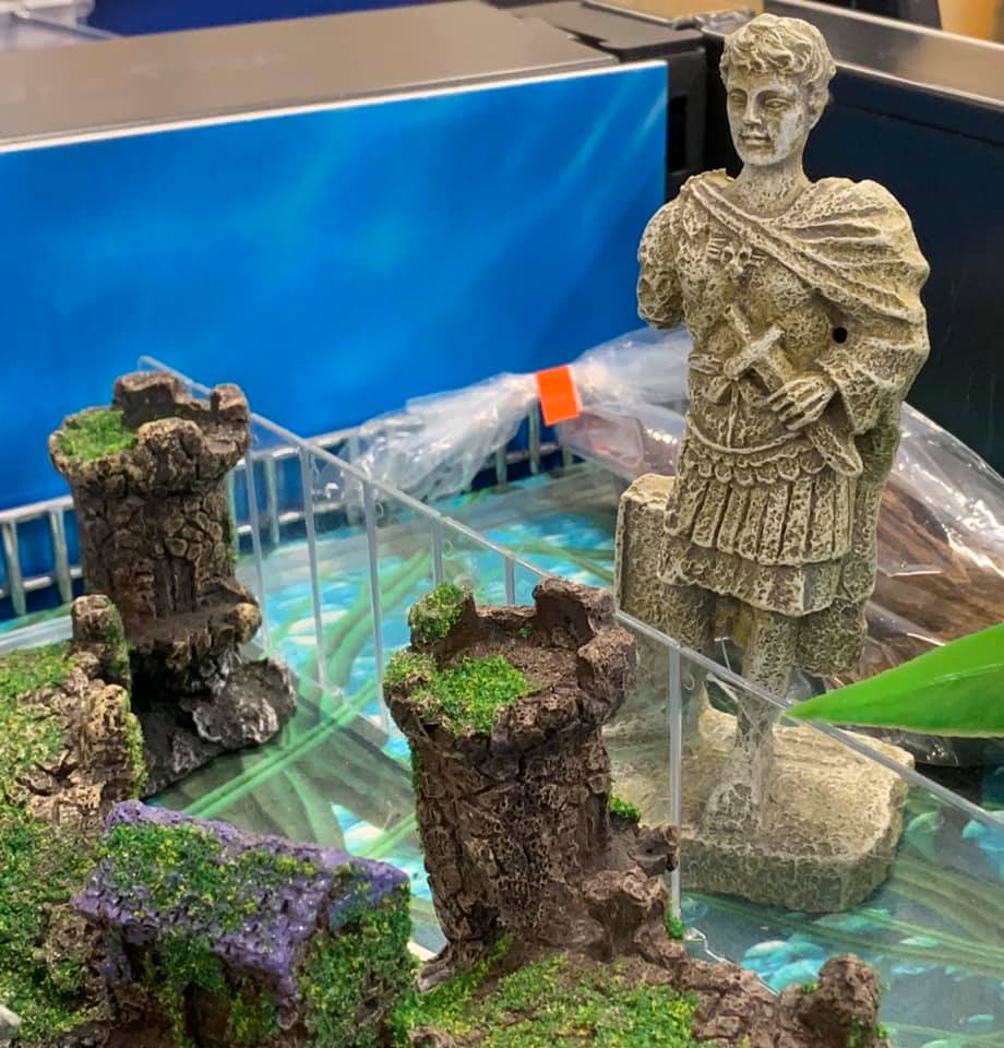 DBMM New Zealand : Pet store terrain - posted by Vince Cholewa, 15 ...