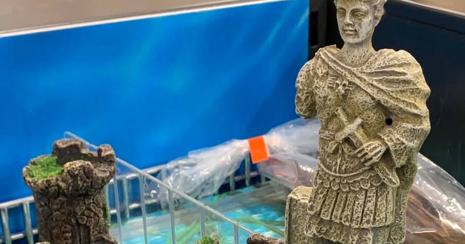 DBMM New Zealand : Pet store terrain - posted by Vince Cholewa, 15 ...