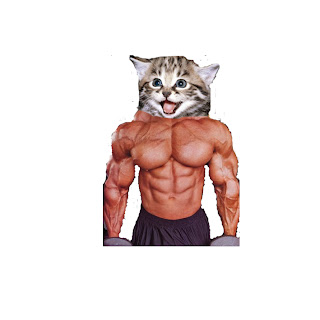 Comm Tech: Buff Kitten
