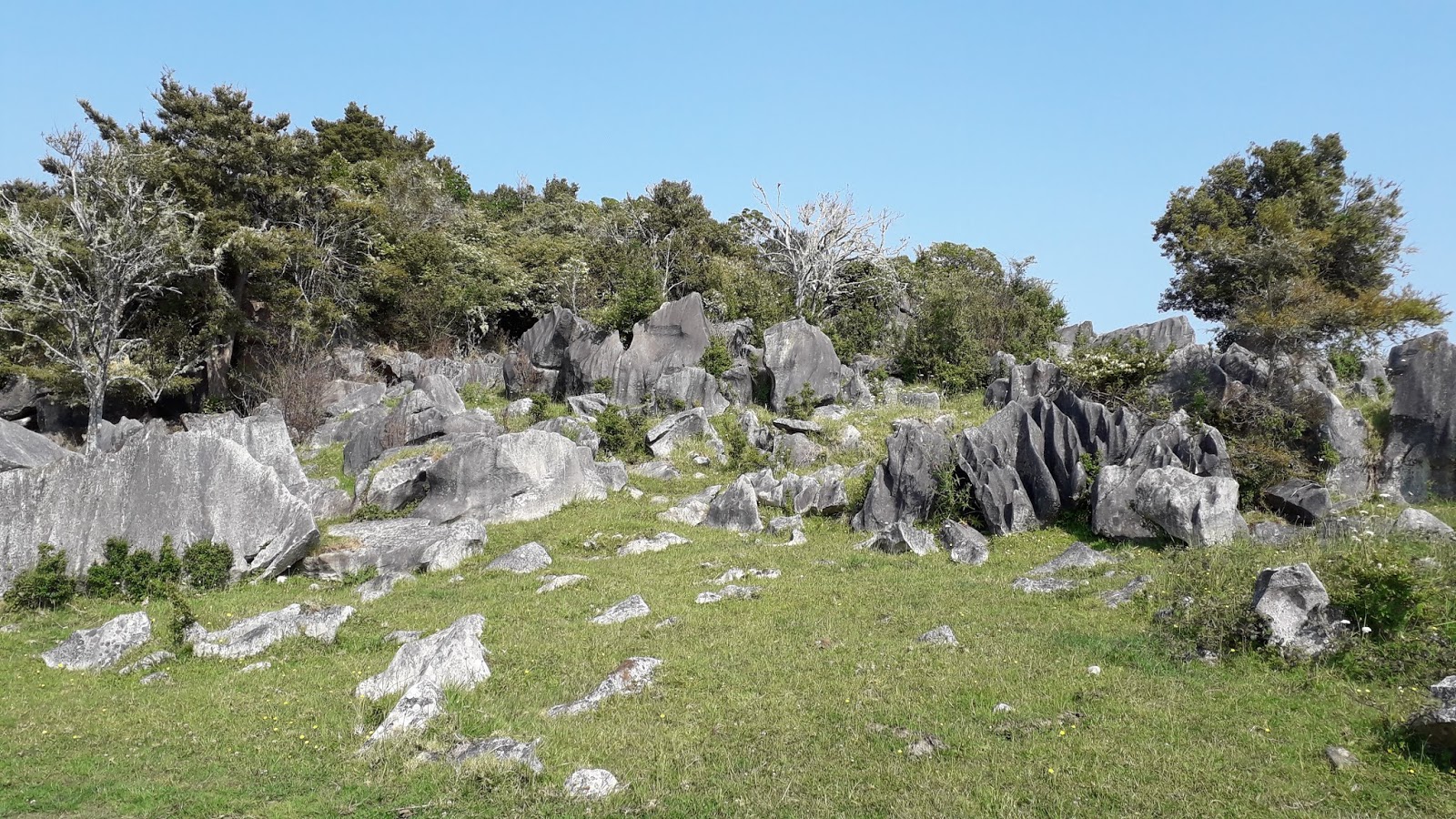 Kamo Lady: PARKINSON WALK - LAKE WARO AND ROCKS