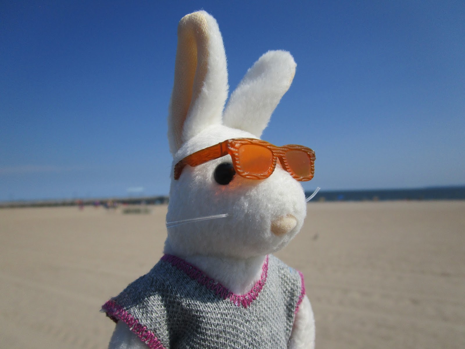 "Sweetness, and Light": "Bob the Bunny" goes to the Beach
