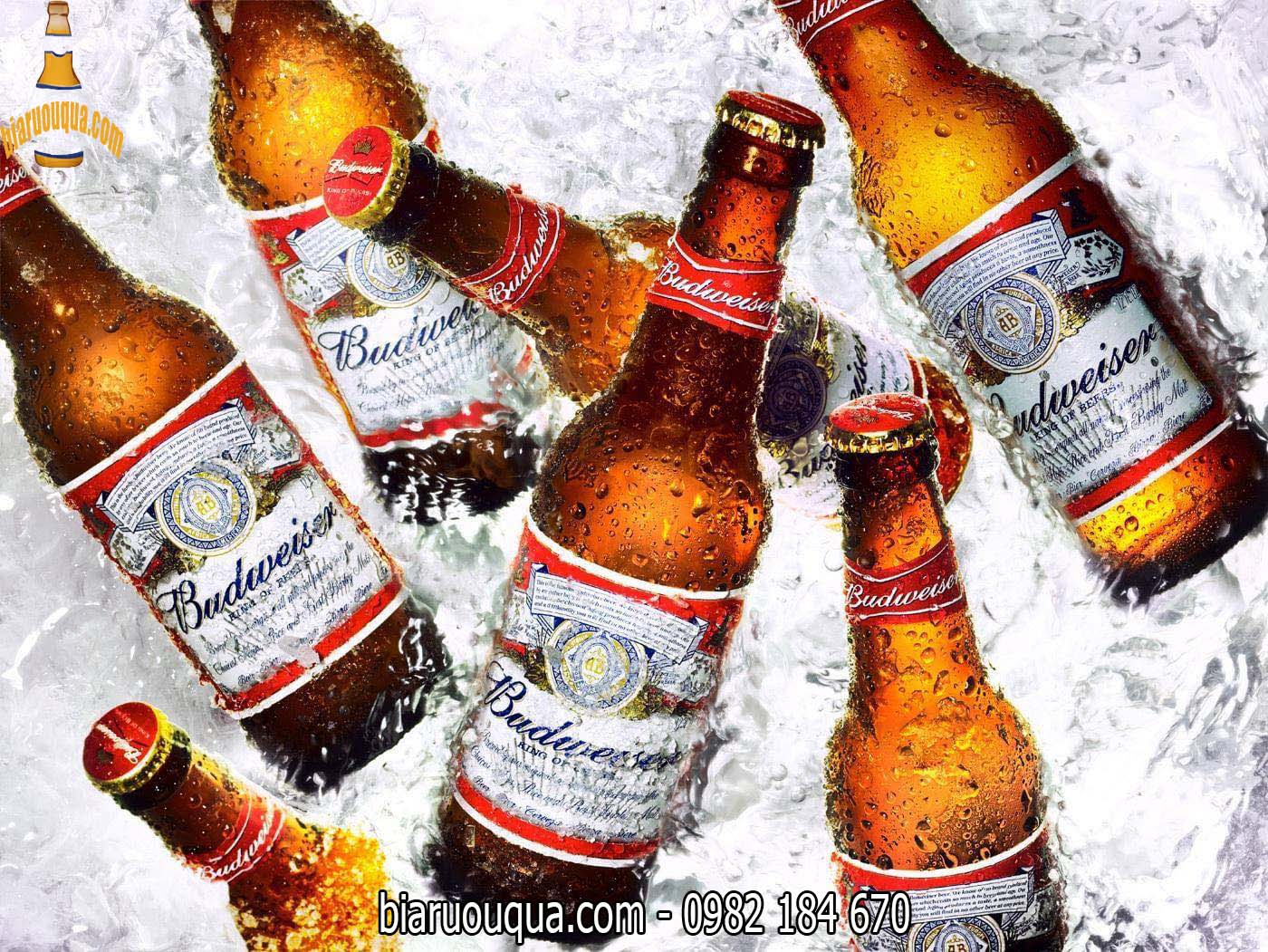 Bia chai Budweiser liên doanh Mỹ 5% 330ml giá rẻ Hà Nội