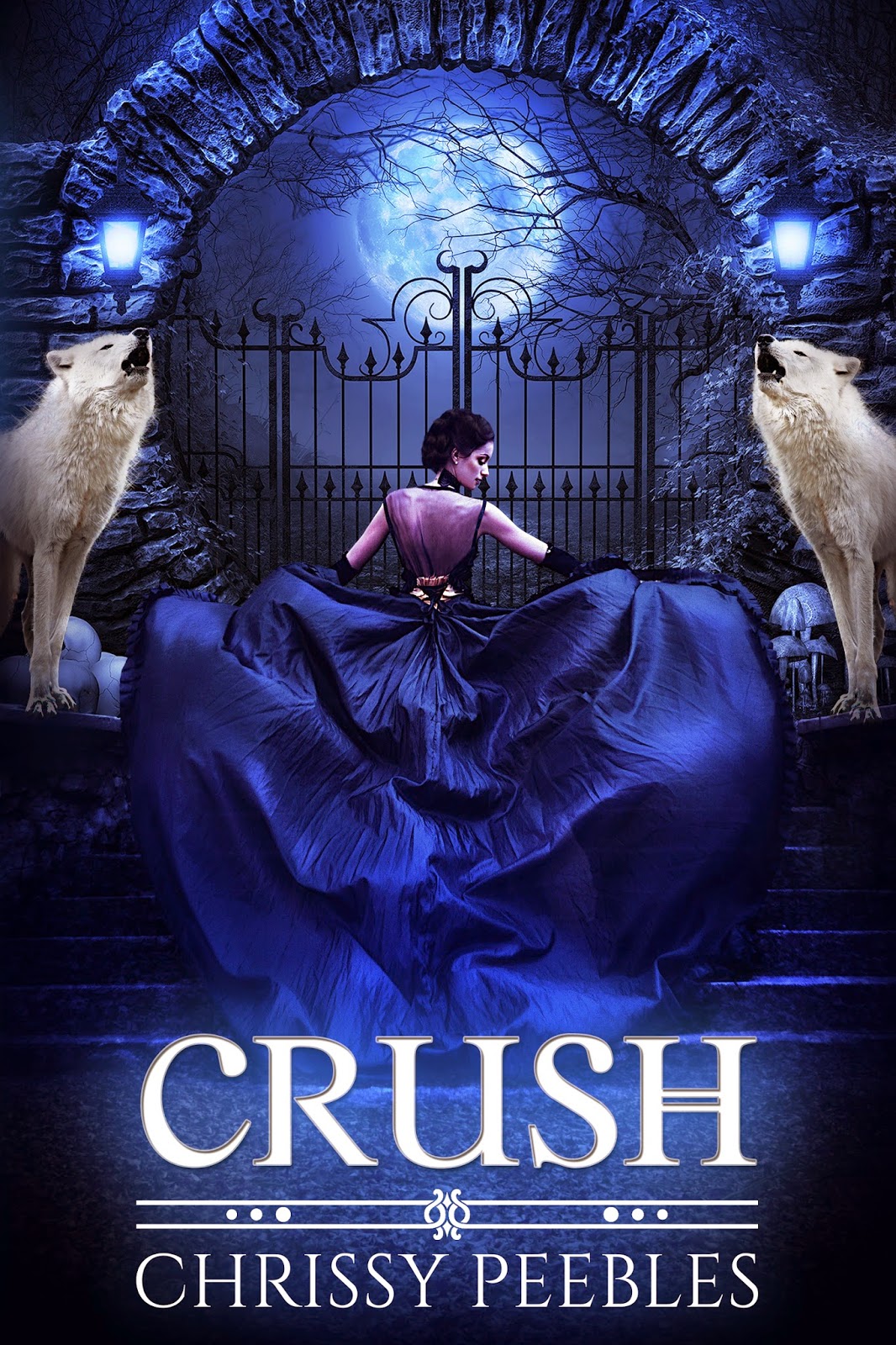 Welcome!: The Crush Saga by Chrissy Peebles