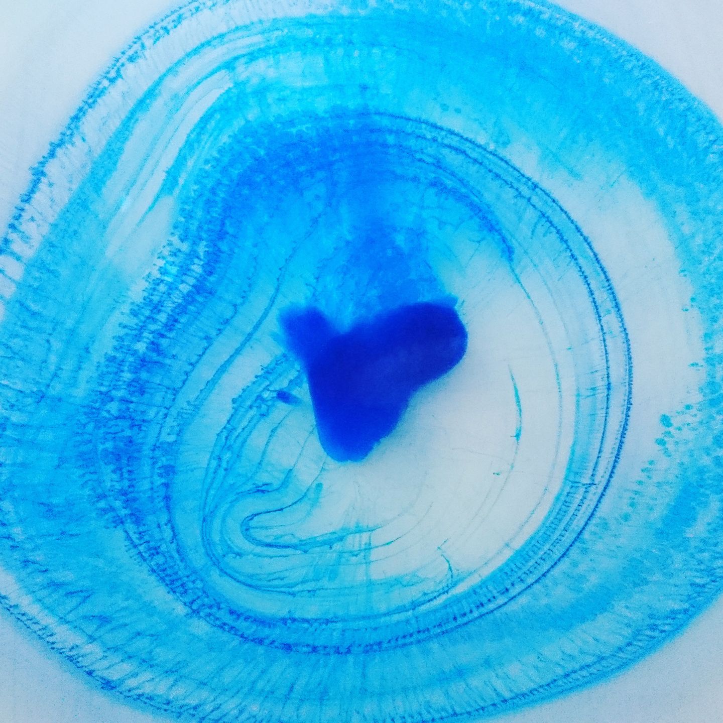 the art room plant: Suminagashi Paper Marbling