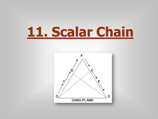 Short Notes on Scalar Chain - Banking Diploma Study Materials