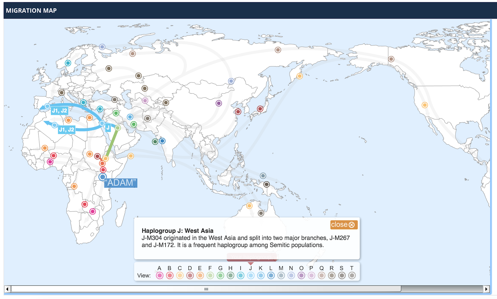 [Genealogy Under Construction]: A Puerto Rican Look at: Y-DNA111 (Correa)