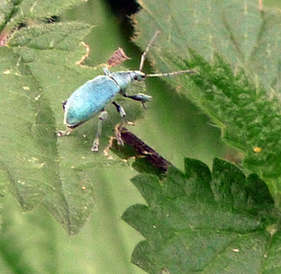 Wild and Wonderful: May 2011