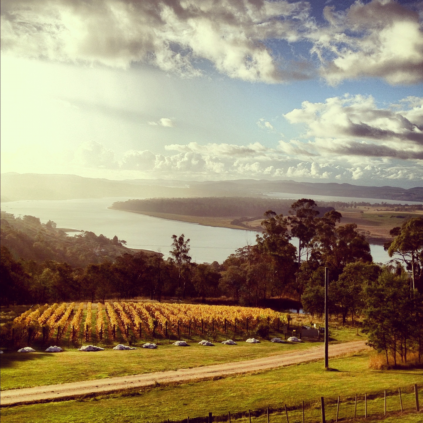 Visit The Tamar Valley With Prestige Leisure Tours | iPhoneography Oz ...