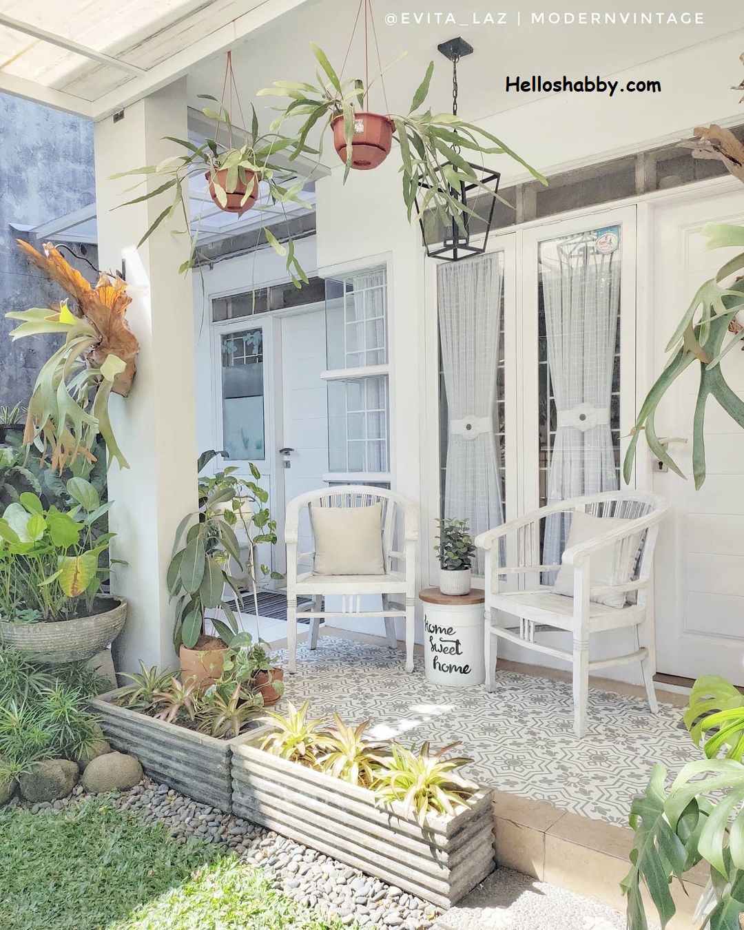 6 Jenis Bunga Gantung di Teras Rumah yang Bikin Rumah Jadi Adem ...