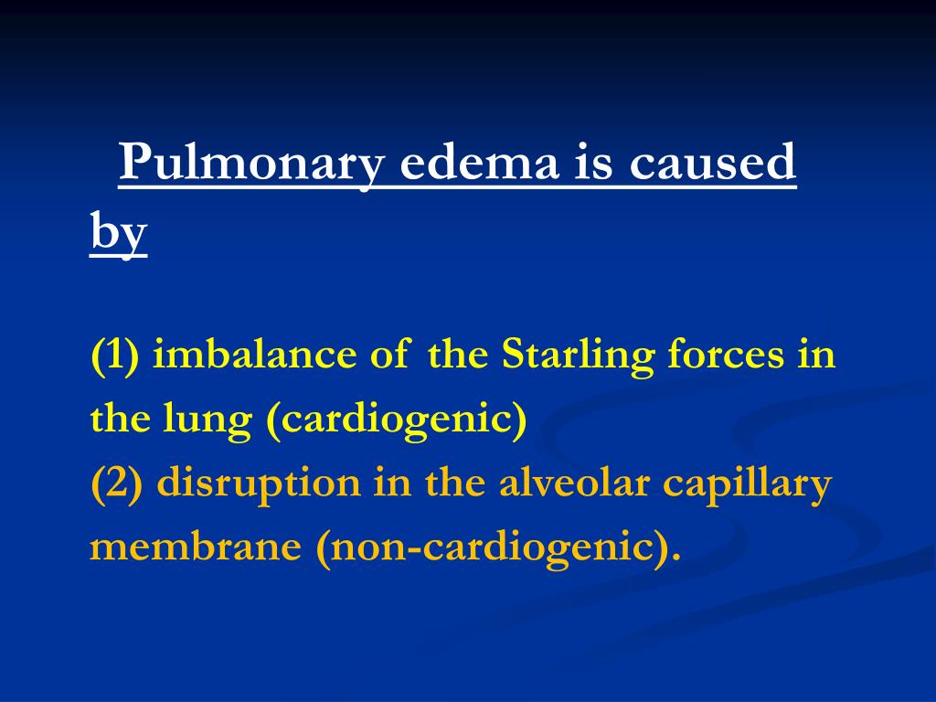 EXAMS AND ME : Starling Forces