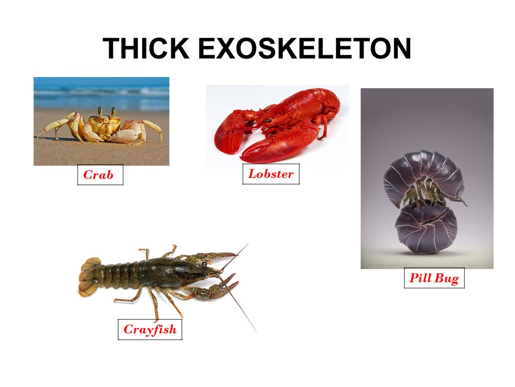 Tercero HCA : Natural Science: noviembre 2016