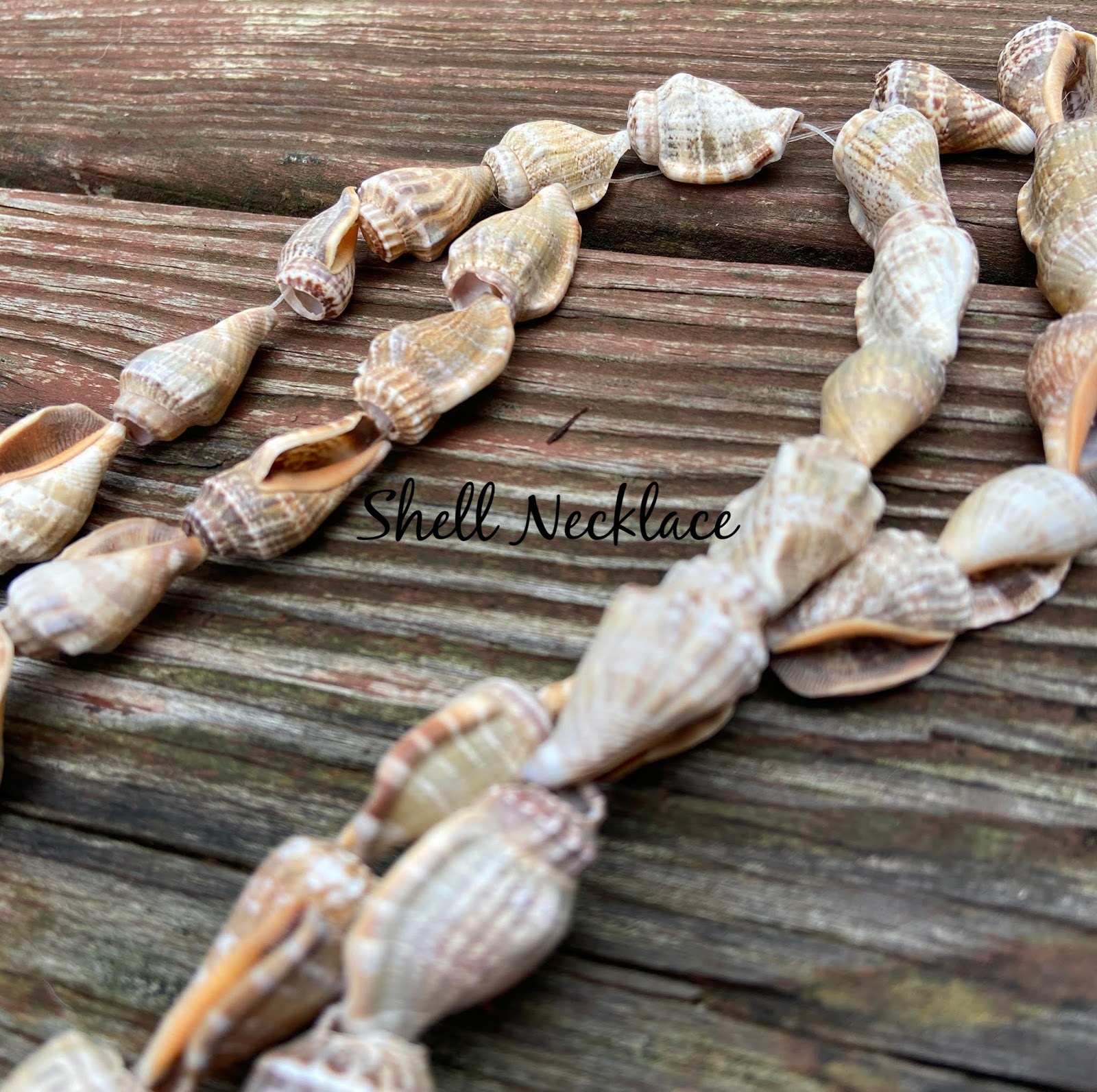 5 Ways to Use Your Seashells After Vacation