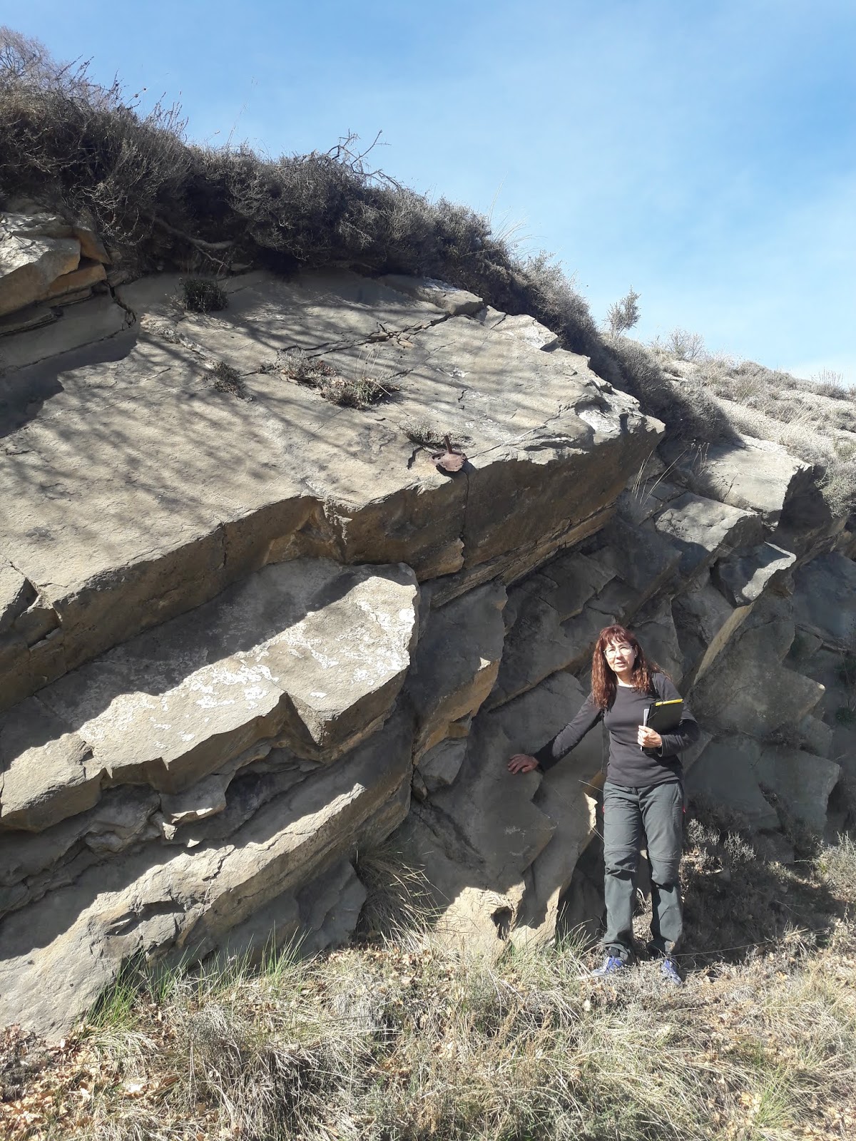 Amics del Museu Geològic del Seminari de Barcelona: Isabel Benet: El ...