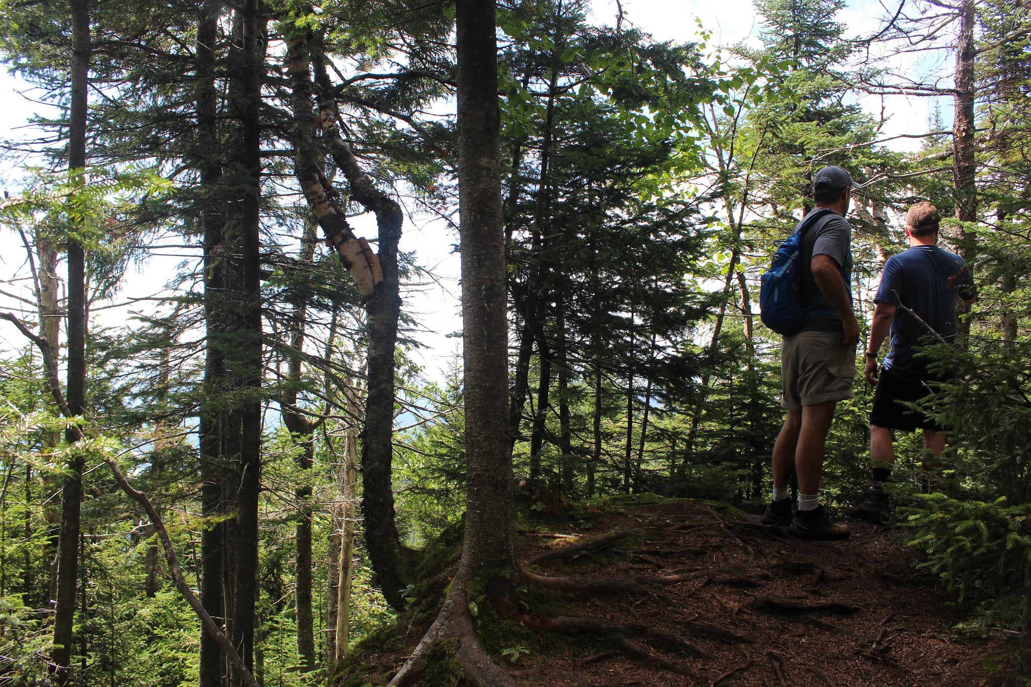 Walking Man 24 7: Mount Colvin and Blake Peak(High Peaks Wilderness ...