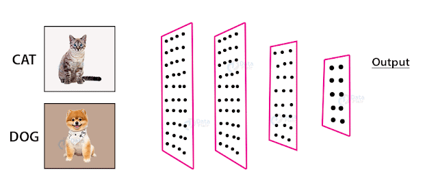 Classification of Animals Using CNN Model