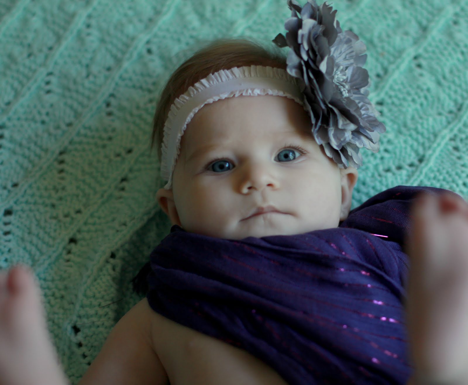 Sheena's Photography Corner: Meet Baby Harlow