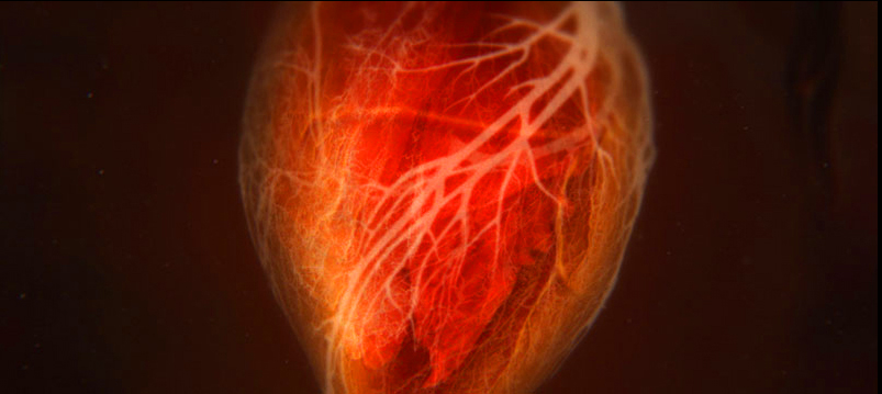 Elizabeth E. Schuch: Creative Portfolio for Film, TV, Stage: TV ...