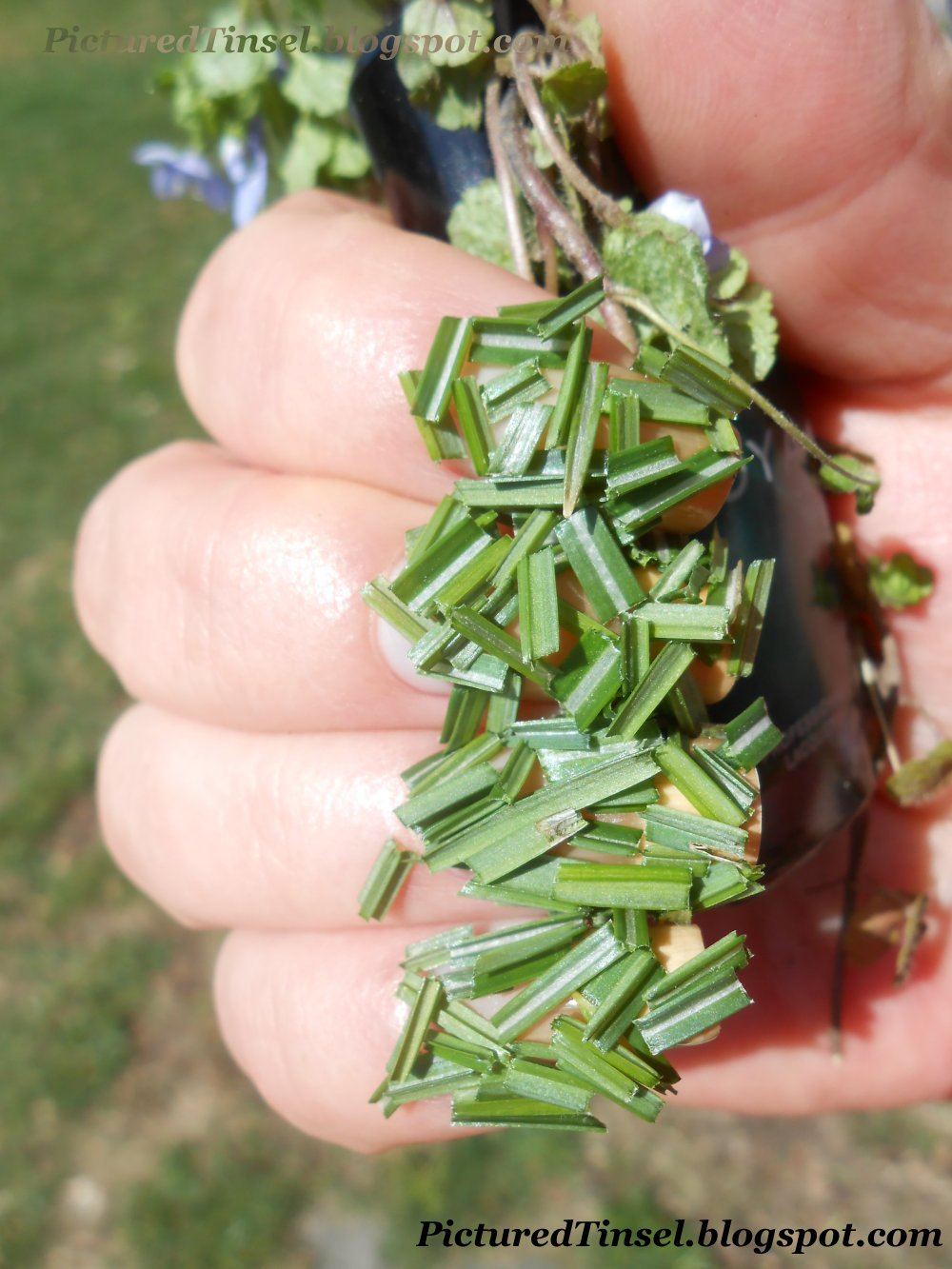 PicturedTinsel: Zoya Grassiella - Zoya Grassy Nail Limited Edition