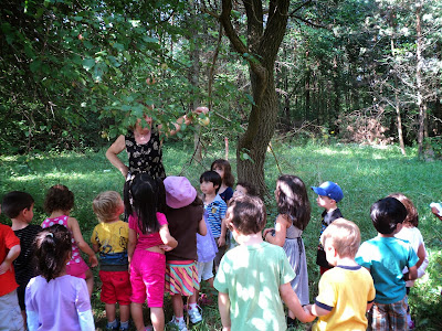 montessori magic: The Story of the Apple Star