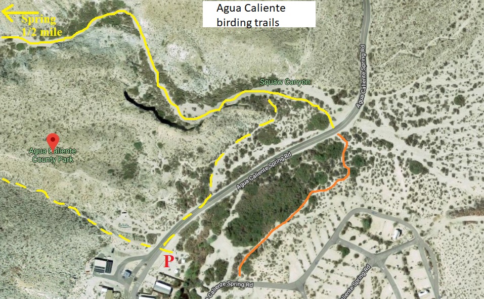 Site Guide: Blair Valley, Agua Caliente, and Vallecito County Parks ...