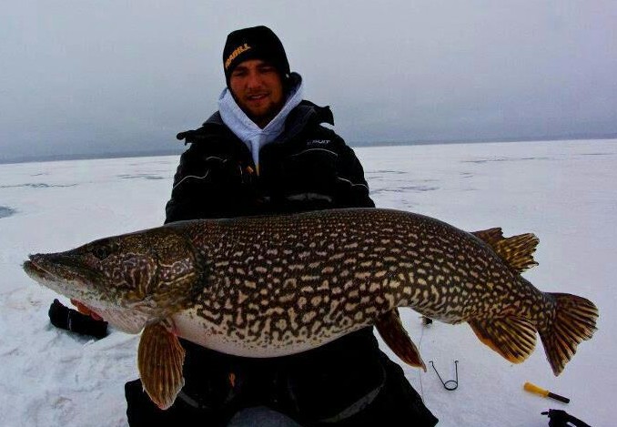 Mondo Pesca News: Luccio gigante dal ghiccio