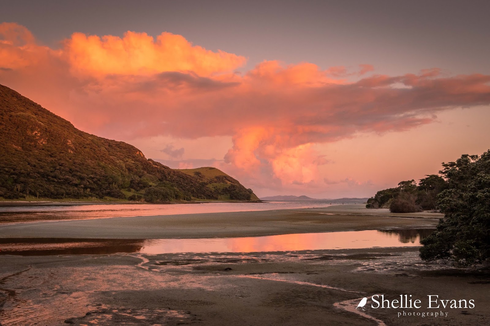 Two Go Tiki Touring: History at Houhora Heads