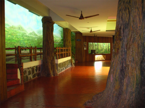 Nilambur Teak Museum ~ Nature of Kerala