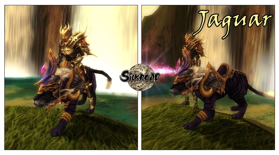 Silkroad fellow pet Hazır Beceriler Değiştirme