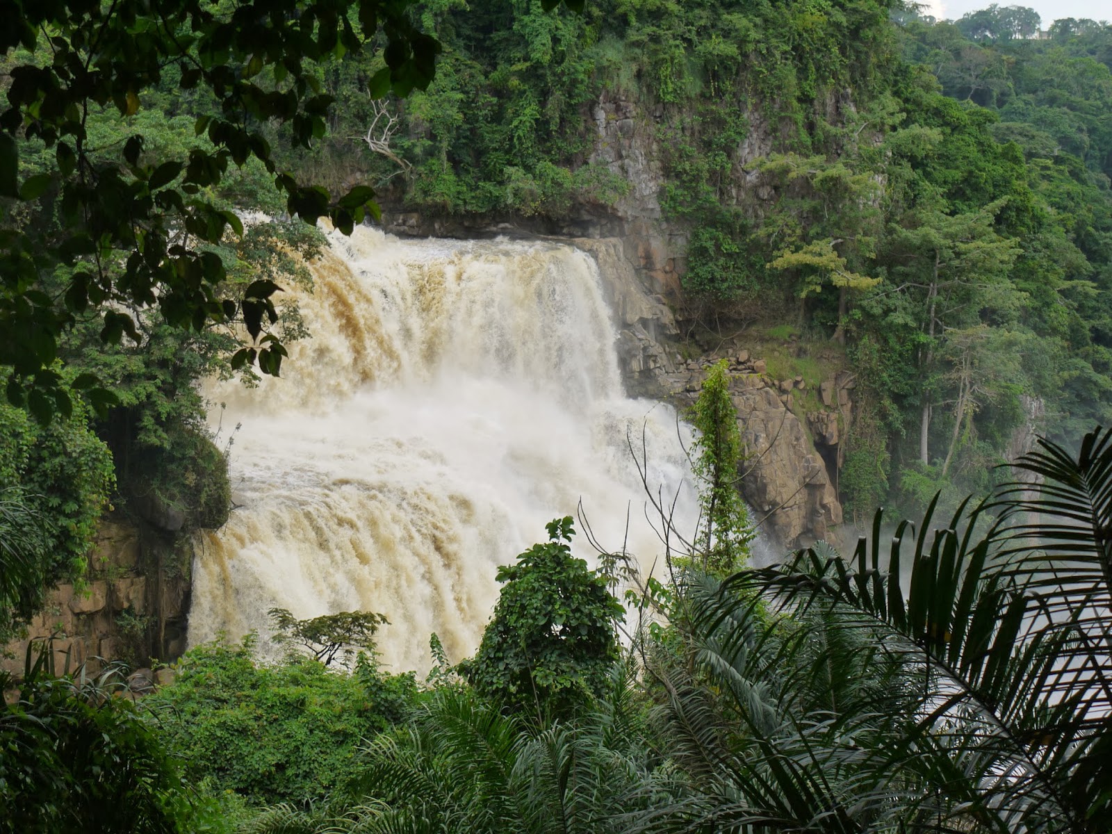 La mapasa familia à Kinshasa: Zongo I : Les chutes