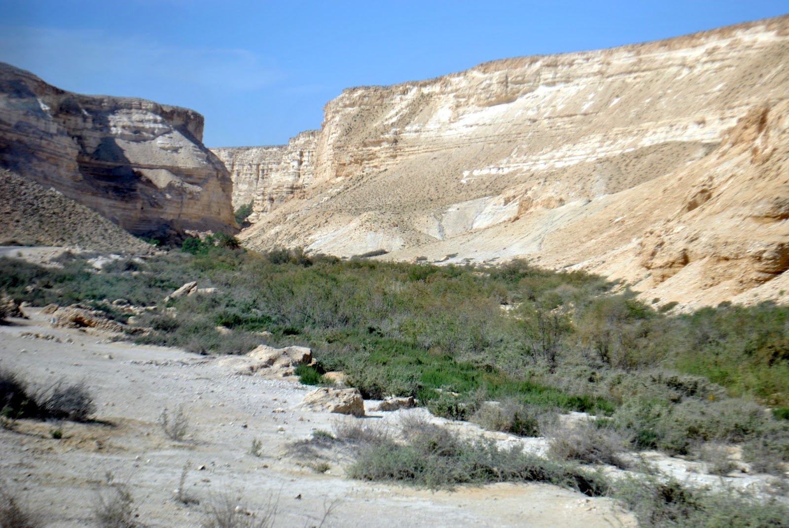 the Grabers: Wilderness of Zin