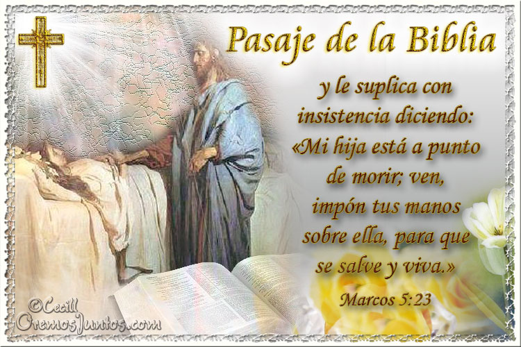 Vidas Santas: Santo Evangelio según san Marcos 5:23
