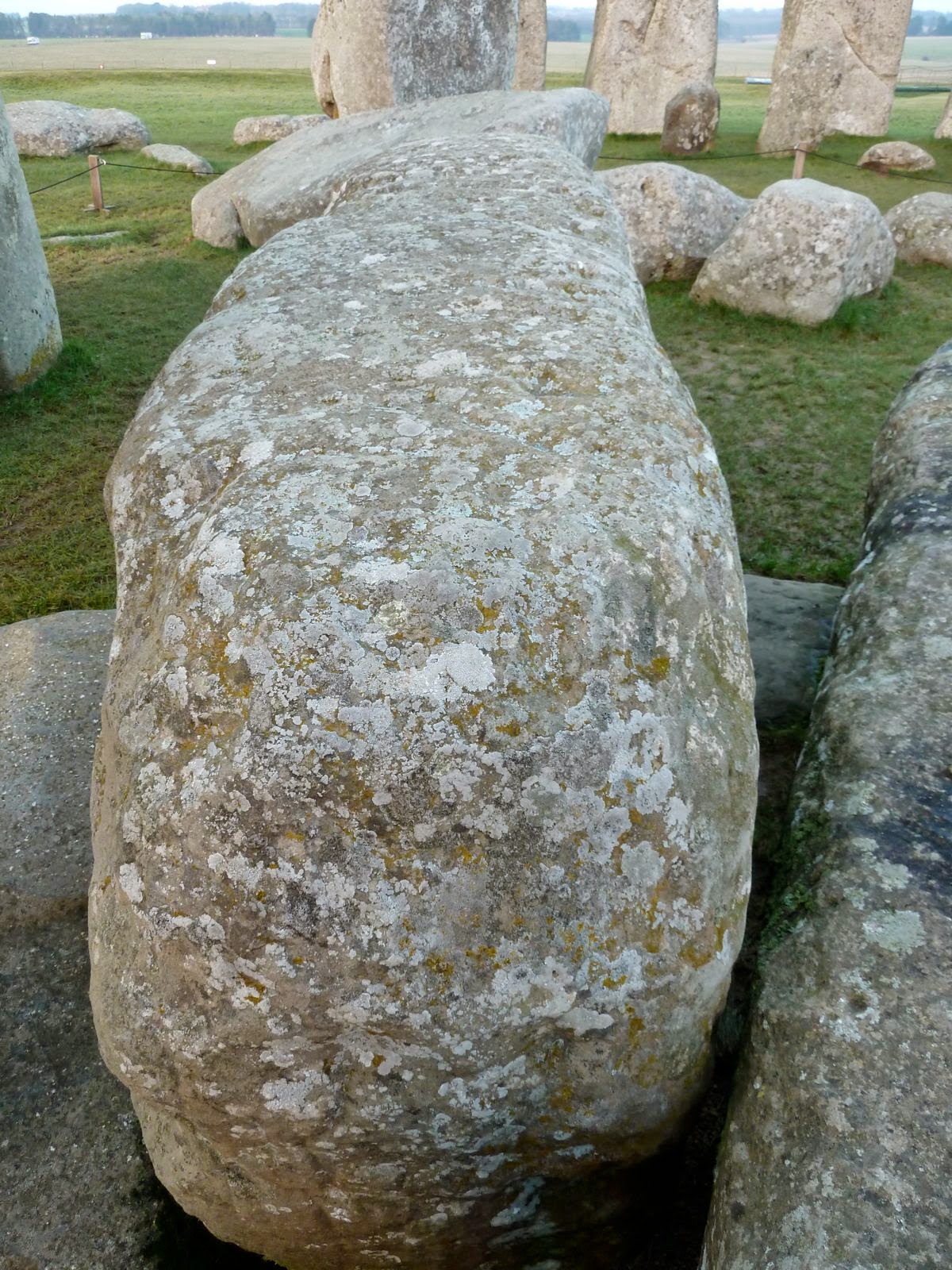 The Stones of Stonehenge: Stone 156