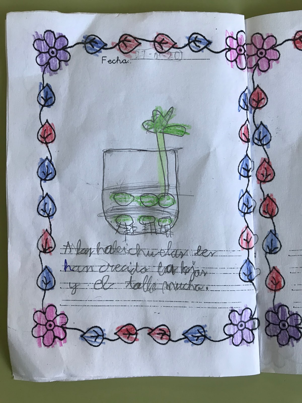Recursos de Andrea: Diario de mi planta