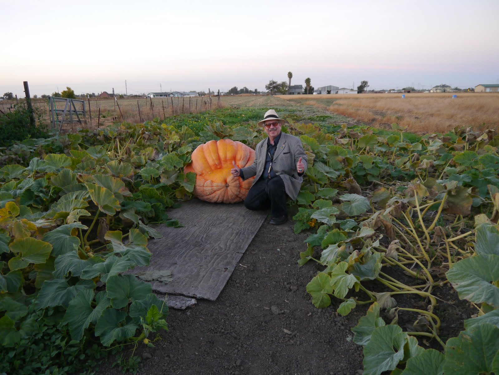 lydia pense and cold blood | Hammond Jazz